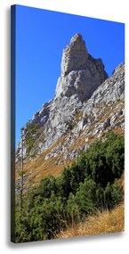 Wallmuralia Vertikální Foto obraz na plátně malý Giewont Tatry 50x100