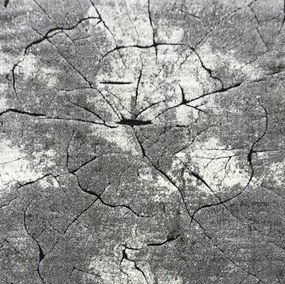 BE Koberec Miami 129 GREY Kwadrad - šedý čtverec Rozměr: 140x140 cm