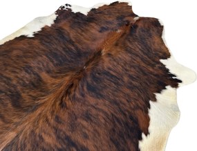 Koberec kusový hovězí kůže 3,4 m2, exotic tricolor 1034