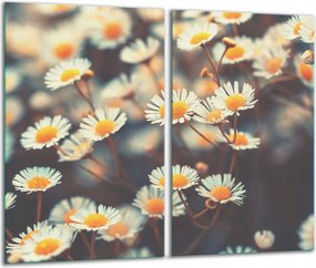 Skleněná Krájecí Deska 2x 30x52 Květiny Tvrzené Sklo Kuchyně 7v1