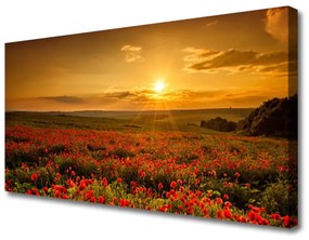 Obraz na plátně Pole Máky Západ Slunce Louka 125x50 cm