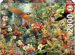 EDUCA Puzzle Ptáci Amazonie / 2000 dílků / rozměr 96 × 68 cm