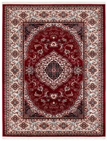 Kusový koberec Hayat 301 red Varianta: 80x150  cm