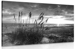 Obraz západ slunce na pláži v černobílém provedení