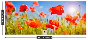 Fototapeta Červené Vlčí máky 104x70