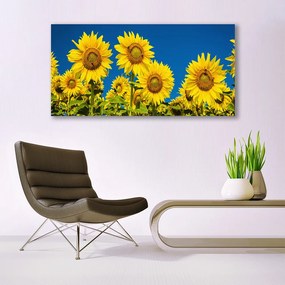 akrylový obraz Slunečníce Rostlina 120x60 cm
