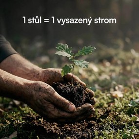 Výškově nastavitelný stůl Liftor Entry, , polohovatelný stůl