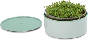 Tchibo - Pěstební sada »Microgreens«