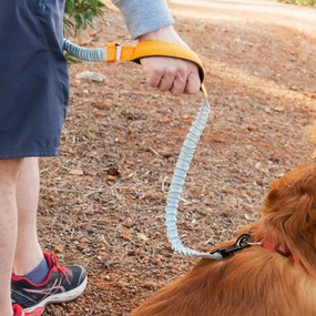 Běžecké vodítko pro psy InnovaGoods