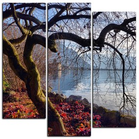 Obraz na plátně - Podzim u jezera - čtverec 3198C (105x105 cm)