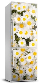 Wallmuralia Nálepka fototapeta Květy sedmikrásky 60x180 cm