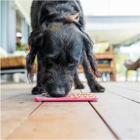 United Pets Lízací podložka pro psy LickiMat Buddy šedá