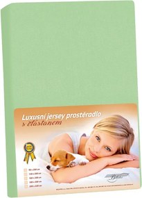 Bellatex Jersey LUX Zelená 90x200 cm