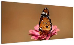 Obraz motýla (100x40cm)