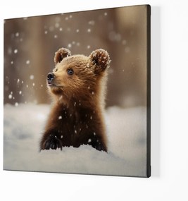 Obraz na plátně - Medvídě pozoruje vločky v lese FeelHappy.cz Velikost obrazu: 140 x 140 cm