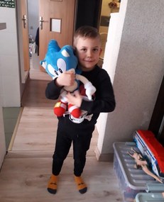 Plyšák Sonic 40 cm
