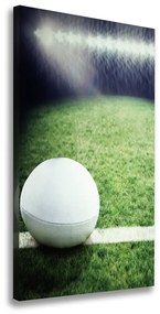 Wallmuralia Vertikální Foto obraz na plátně Ragby míč 50x100