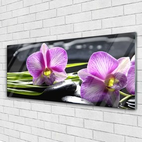Plexisklo-obraz Orchidej Kameny Zen Lázně 125x50 cm