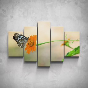 5-dílný obraz - Motýl na květu - PopyDesign