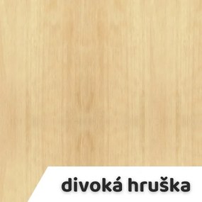 Kancelářský nábytek sestava ProOffice 4, divoká hruška