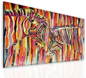 Obraz barevné zebry