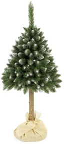 TRENDIE Vánoční stromek Borovice diamantová na pníku 160 cm