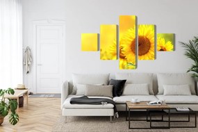 Vícedílný obraz Kvetoucí Slunečnice 3D Nedostatek Nedostatek Plátno Canvas 250x150