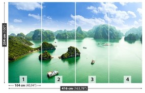 Fototapeta zátoka ve Vietnamu 104x70