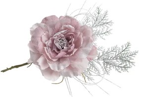 zimní růže s jehličím větší - starorůžová