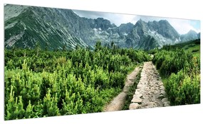 Obraz horské krajiny (100x40 cm)