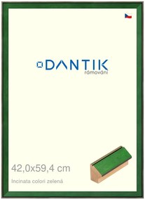 DANTIK rámeček 42x59,4 | INCLINATA colori zelená (Plexi Čiré)