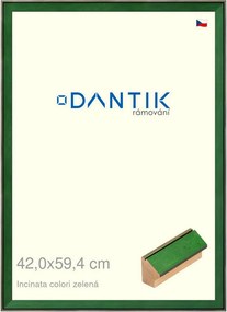 DANTIK rámeček 42x59,4 | INCLINATA colori zelená (Plexi Čiré)