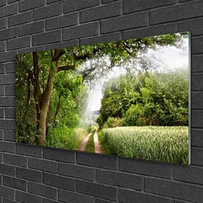 Obraz na skle Stromy Stezka Příroda 125x50 cm