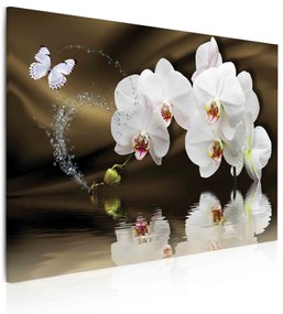Malvis ® Obraz Motýlí orchidej nad hladinou Velikost: 120x80 cm