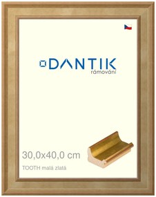 DANTIK rámeček 30x40 | TOOTH malá zlatá (Plexi Čiré)