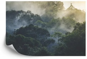 Fototapeta Landscape Of Asia Tropical Rainforest, Canopy Tree Of Jungle Green Forest Park Outdoor, Nature Environment Mountain View, Concept Of Freedom Relaxation In Holiday For Spa Yoga And Retreat Hladký vinyl 104x70.5