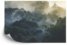 Fototapeta Landscape Of Asia Tropical Rainforest, Canopy Tree Of Jungle Green Forest Park Outdoor, Nature Environment Mountain View, Concept Of Freedom Relaxation In Holiday For Spa Yoga And Retreat Hladký vinyl 135x90