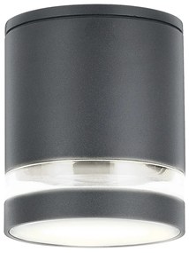 Rabalux Venkovní stropní přisazené svítidlo Zombor 1x35W | GU10 | IP54 - antracit 7817