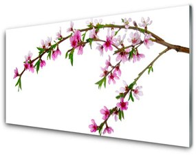 Obraz na skle Větev Květ Příroda 140x70 cm