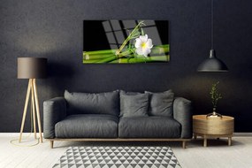 akrylový obraz Bambus Květ Rostlina 100x50 cm