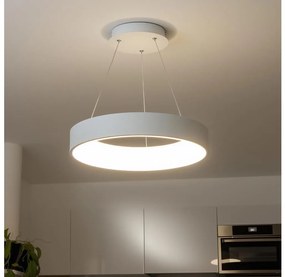 Brilagi - LED Stmívatelný lustr na lanku FALCON LED/80W/230V 3000-6500K + DO