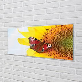 akrylový obraz slunečnice motýl 120x60 cm