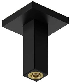 Hansgrohe - Sprchové rameno stropní, 11 cm, matná černá 24338670