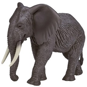Mojo Slon africký