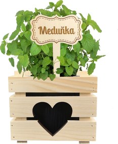 AMADEA Dřevěný zápich - cedulka na bylinky Meduňka, výška 20 cm, český výrobek
