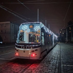 Easy Fix LED hadice venkovní, 1 m, ledově bílá, 30 diod, IP44, metráž