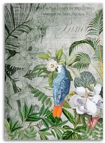 Gario Obraz na plátně Ptačí říše - Andrea Haase Rozměry: 40 x 60 cm