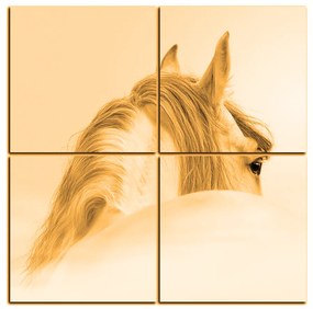 Obraz na plátně - Andaluský kůň v mlze - čtverec 3219FD (100x100 cm)
