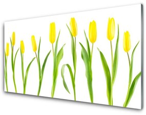 Obraz na skle Žluté Tulipány Květiny 100x50 cm