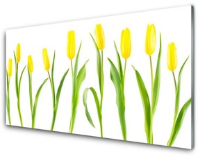 Obraz na skle Žluté Tulipány Květiny 140x70 cm